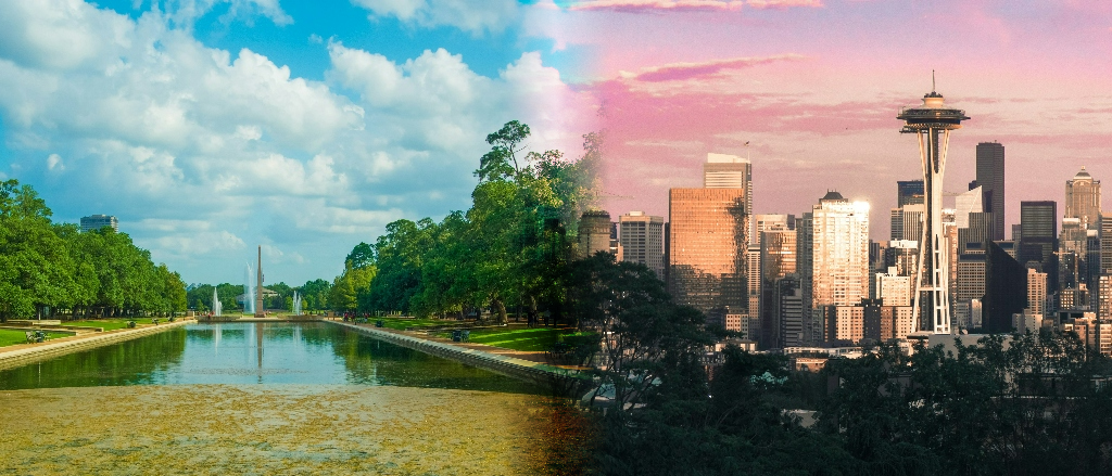 Jack's Flight Club | Houston to Seattle 🚀🌧️ and vice versa at $197 RT